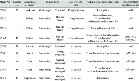 Characteristics Of Antimicrobial Resistance Genes Carrying Vibrio And Download Scientific