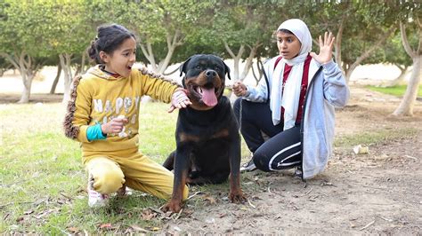 كلب روت مجنون يعض بنت صغيرا شوف حصلها اية 😱 Youtube