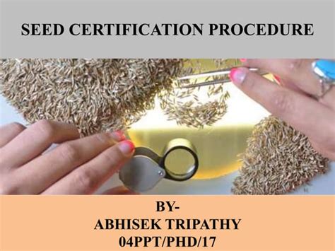 Seed Certification Procedure Pptx