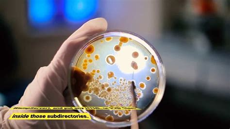 Do It Yourself Tutorials The Of How To Host Your Own Website Step