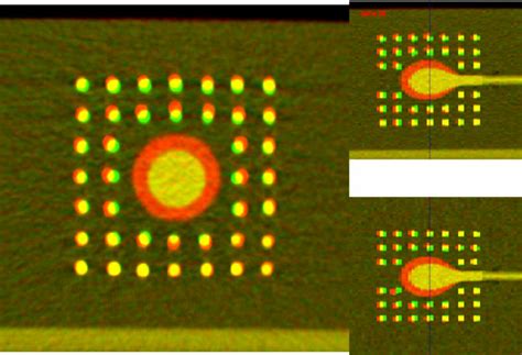 Overlapped Orthogonal Views Of The Reference Stages Red Component And Download Scientific