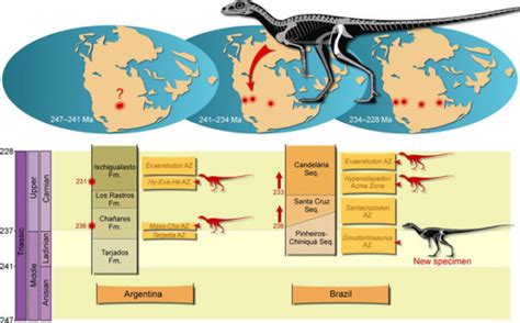 The Oldest Dinosauromorph From South America