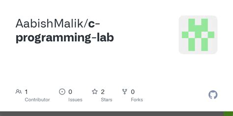 Github Aabishmalikc Programming Lab