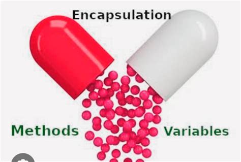 Java Encapsulation Explained Sri Sai Sravya Talabathula