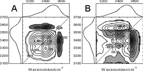 Two Dimensional A Synchronous And B Asynchronous Correlation Spectra Of