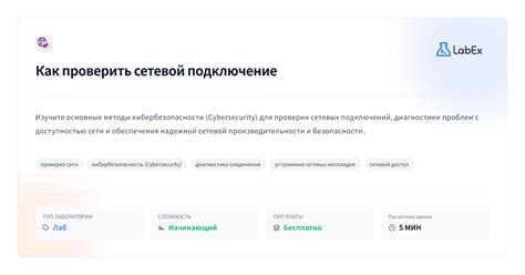 Как проверить сетевой подключение Labex