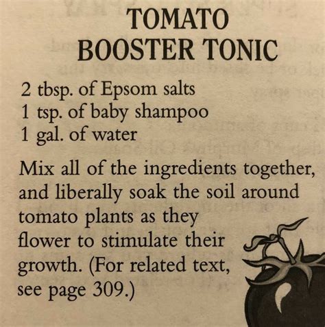Sexy Tomato