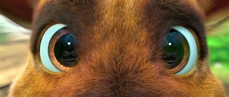 حیوانات جنگل ۲۰۱۹