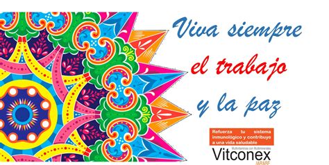 Vitconex Vitconex Multivitaminas Multiminerales Facebook