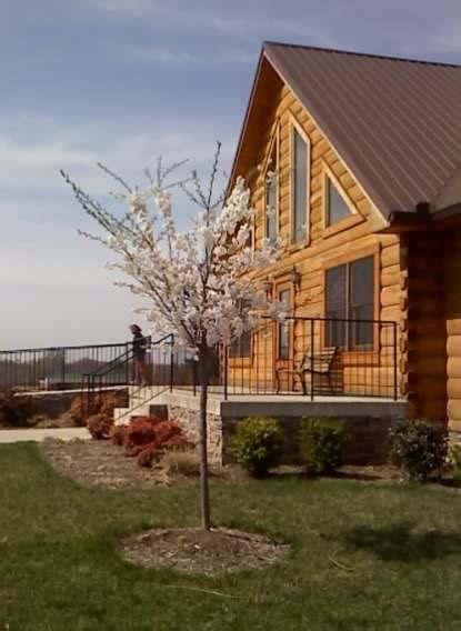 Brittney Brewer Ricketts