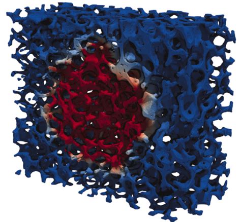 Openfpm C Framework For Parallel Particle Mesh Codes