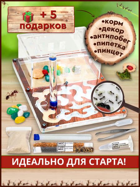 Муравьиная ферма МАКС ДЕРЕВО Formic, Формикарий для муравьев жнецов ...