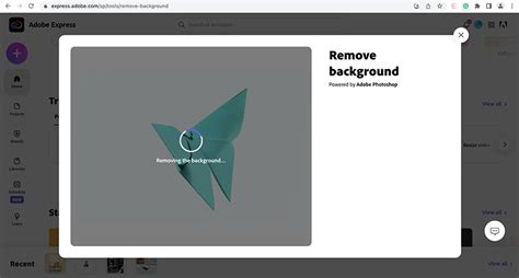 How To Use Adobe Express For Designing Editing Sharing