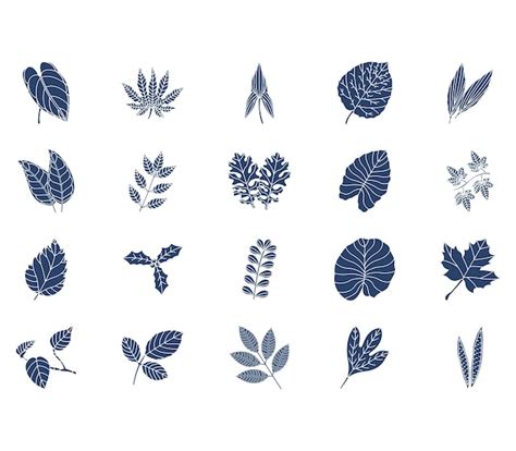 Premium Vector Set Of Leaf Collection