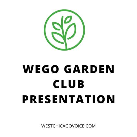 illinos master gardener visits wego for seed starting class west chicago voice local news
