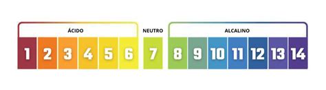 ¿cómo Afecta El Ph En Las Plantas 710 Chile