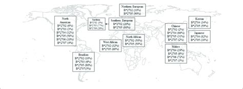 Geographical Distribution Of Hla B27 Subtypes Only The Most Frequent Download Scientific