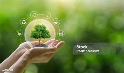 재생 가능하고 지속 가능한 개발을위한 에너지 원의 아이콘이있는 녹색 나무를 들고있는 손 생태학과 세계 지속 가능한 환경 개념 환경을 절약하고 깨끗한 지구를 구합니다 지속