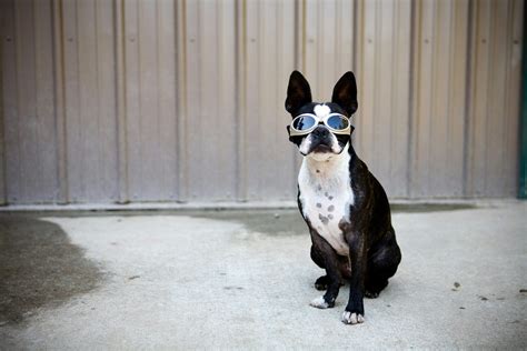 Denigration And Disruption When Your Competitors Attacks Become