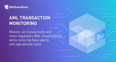 Aml Transaction Monitoring Netguardians