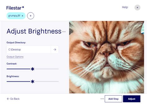 Filestar Adjust Jfif Brightness