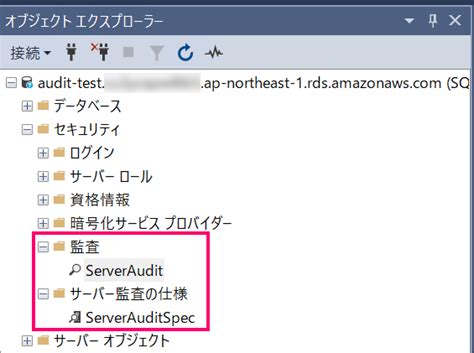 Rds For Sql Serverでサーバー監査sql Server Auditを試してみた Developersio