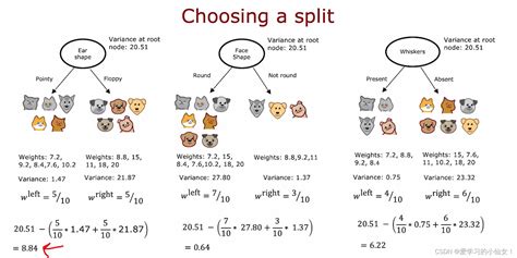 吴恩达机器学习笔记 二十七 决策树中连续值特征的选择 回归树吴恩达决策树连续有价值的特征 Csdn博客