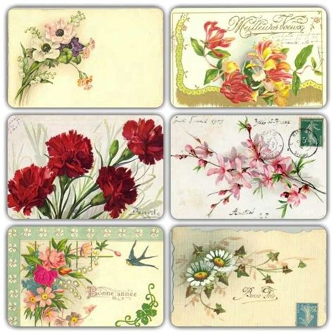 Vintage Flower Cards
