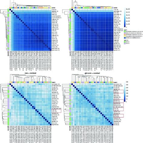 Batch Effect Removal Performed On Raw Vs Normalized Counts Resulted In