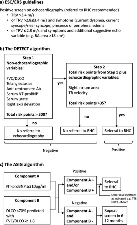 Of Screening Algorithms Ab Antibody Asig Australian Scleroderma