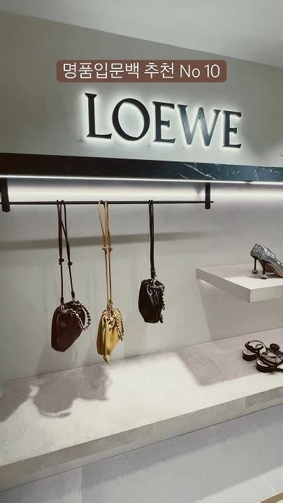 로에베 핫한 인기가방은 명품입문백 추천 데일리백 로에베 Loewe 명품가방추천bag Youtube