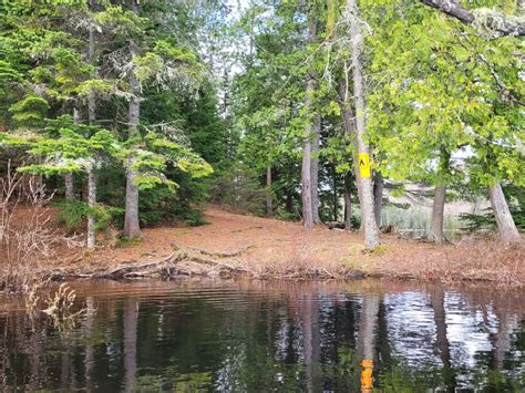 Booth Lake Campsite 12 In Algonquin Park Campsite Report