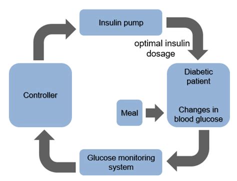 design controller for artificial pancreas using fuzzy logic matlab