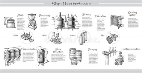 Beer Brewing Process Infographic Flat Style Stock Vector Illustration Of Icon Barley 61689175