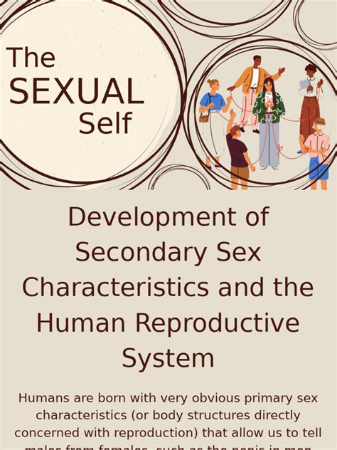 Understanding Human Sexuality And Erogenous Zones Pdf Birth Control
