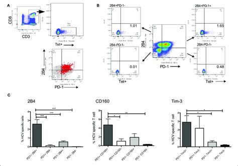Hcv Specific Cd8 T Cells In Pd 1 Cd8 T Cell Subsets A Gating