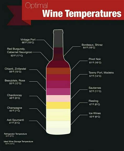 Proper Temp To Serve White Wine At Yvette Morris Blog
