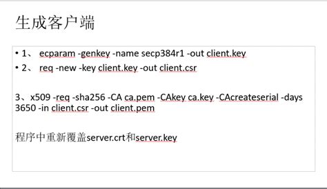 使用自签caserverclient证书和双向认证 离地最远的星 博客园