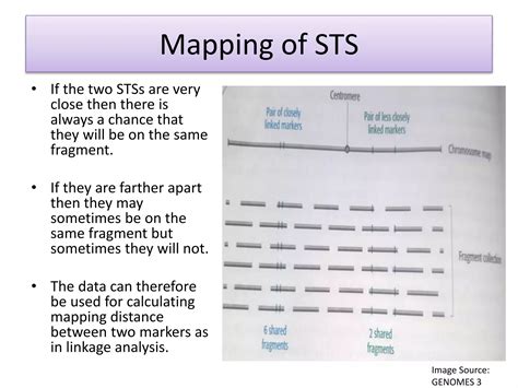 Gene Mapping Methods Pptx