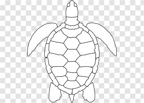 Turtle Outline Clipart