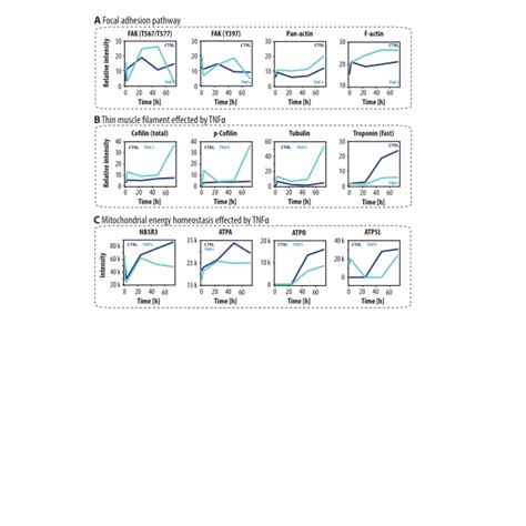 Proteomics Data A Overview Of Computational Analysis Of Liquid Download Scientific Diagram