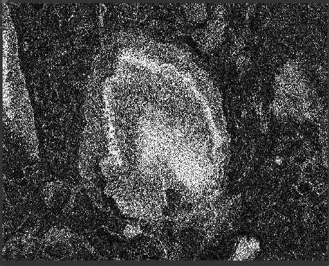 Interferometry Tandem X Negative Elevation Values For Dem Microwave Toolbox Step Forum