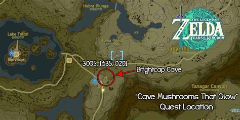 How To Complete Cave Mushrooms That Glow In Zelda Tears Of The Kingdom