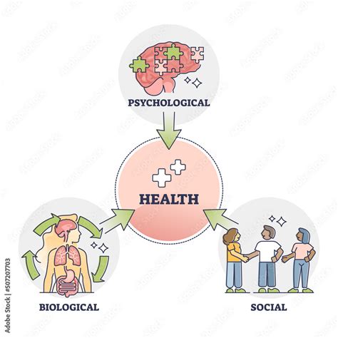 Health Psychology With Biological And Social Process Factors Outline