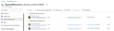 Make Your Azure OpenAI Apps Compliant With RBAC DEV Community