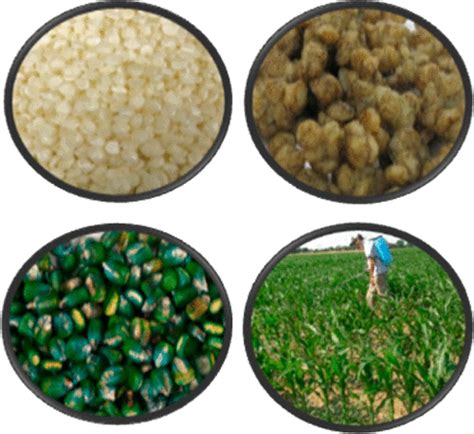 Biological Control Of Aflatoxin Contamination In Us Crops And The Use Of Bioplastic