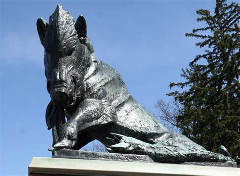 Best High School Mascot In Connecticut Top 10 Candidates Sports