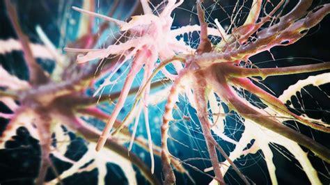 Premium Photo Neuron Cell Closeup View 3d Rendered Image Of Neuron Cell On Black Background