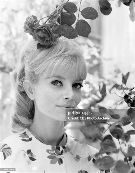 Pictured Is Patricia Harty On The Show Blondie Image Dated April News Photo Getty Images