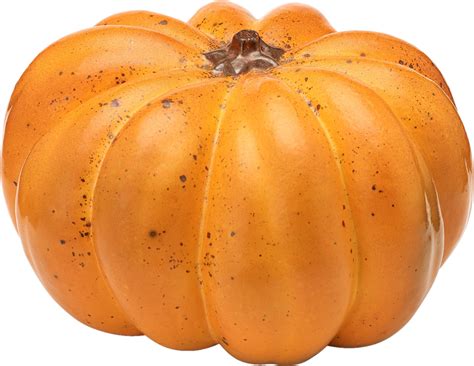 Pumpkin Png Images Free Download Pngfre